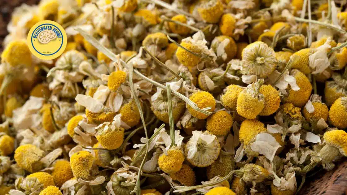 How to Dehydrate Chamomile in a Food Dehydrator