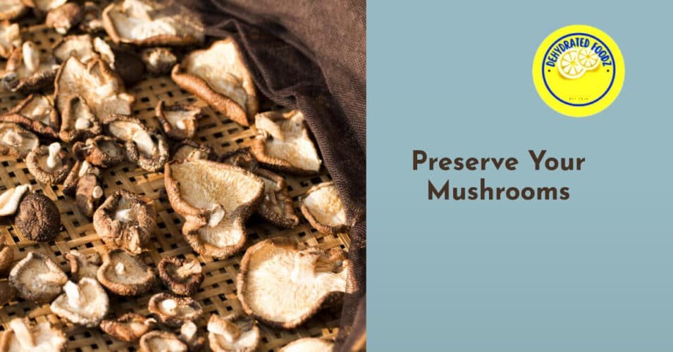 How to Dry Mushrooms Without a Dehydrator