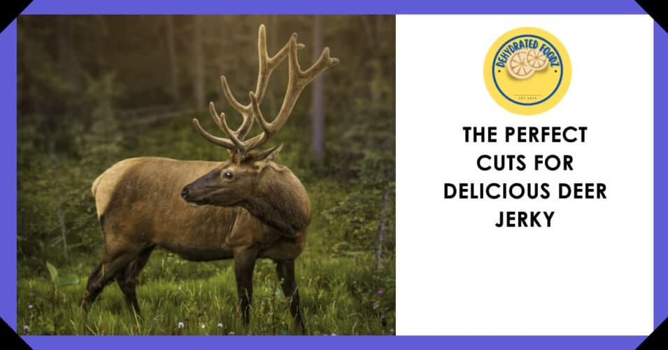 Discovering the Best Cuts for Deer Jerky