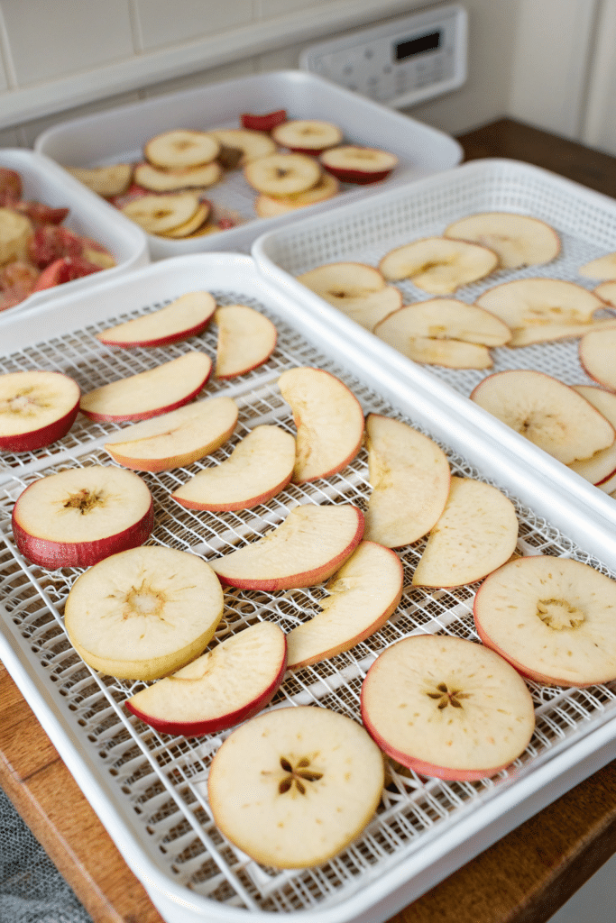 Step-by-Step Guide: How to Make Dehydrated Apples at Home