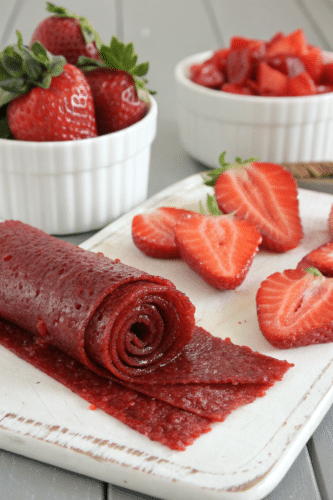 Top 100 Easy & Delicious Dehydrator Recipes You'll Love